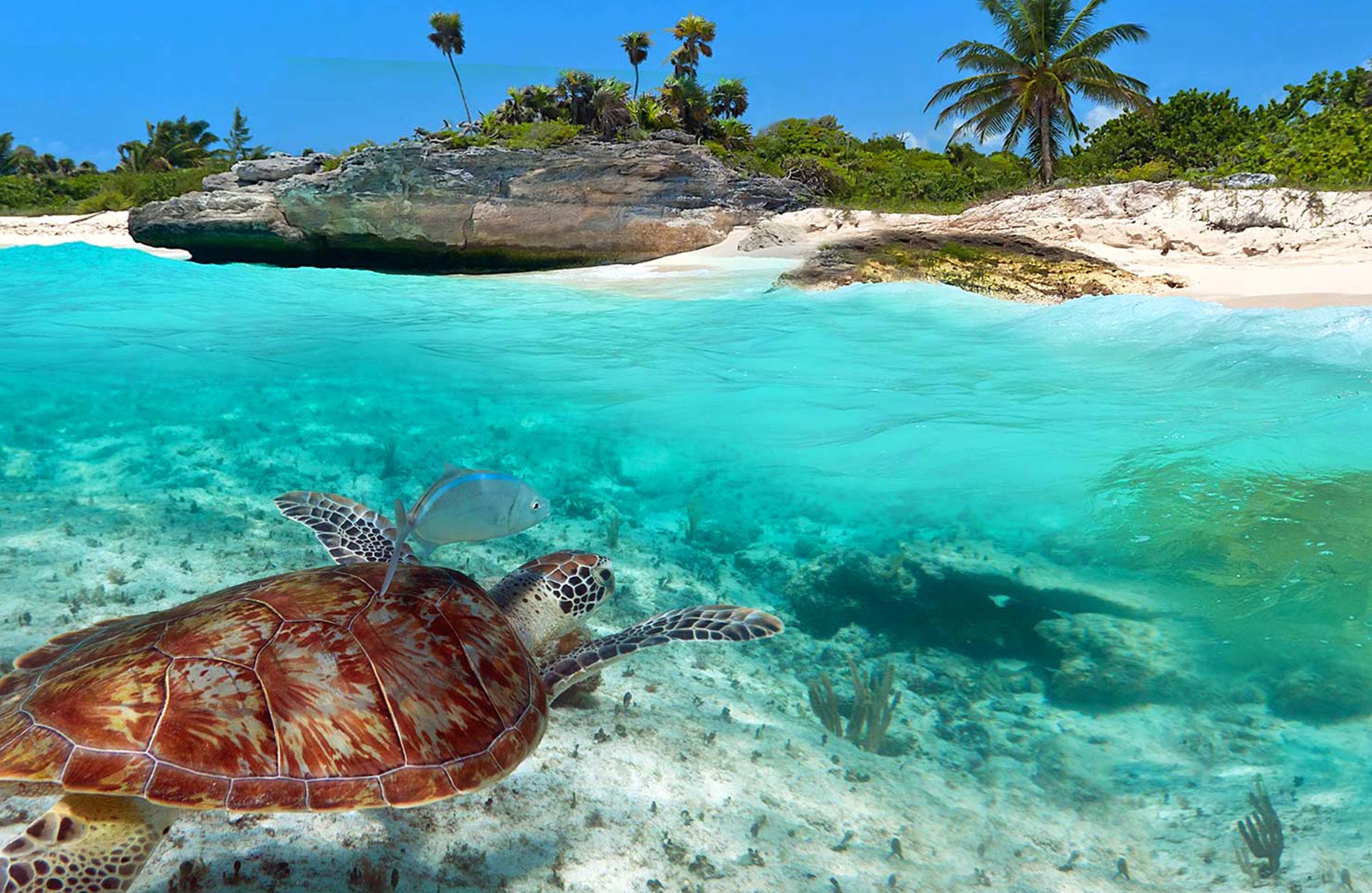 Bahami - 77 nijansi plave - Escape magazin